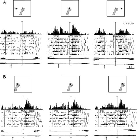 Reaching Activity In Parietal Area V6a Of Macaque Eye Influence On Arm Activity Or