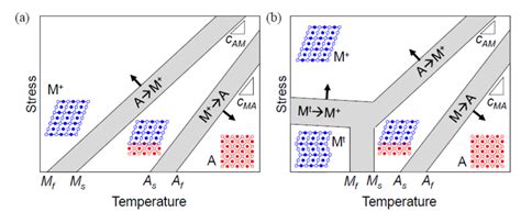 1 schematic phase diagrams of constitutive shape memory models a