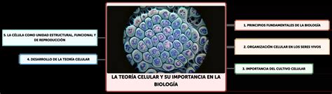 Teoria Celular Teoria Celular De Hook A Schwann Editora Scipione