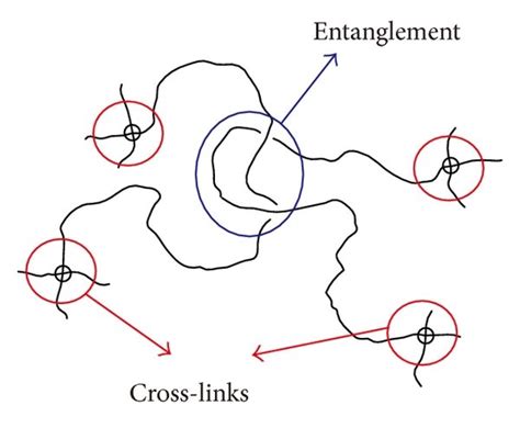 Schematics Of A Typical Structure Of A Polymer Network With