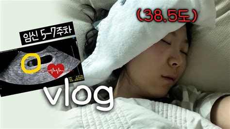 임신5 7주차vlog 임신 초기부터 고열타이레놀 복용🥲 입덧 시작 아기 심장 소리 처음 들은 날 🥹 ️ Youtube