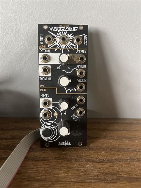 Make Noise Richter Wogglebug Module 2014 Present Black Reverb
