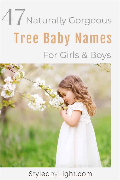 Gorgeous Tree Baby Names Styled By Light
