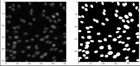 implement model image segmentation freelancer