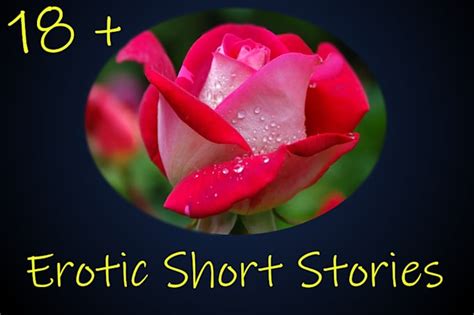 Write You A Custom Erotic Story By Seb Writes Fiverr