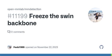 freeze the swin backbone · issue 11199 · open mmlab mmdetection · github