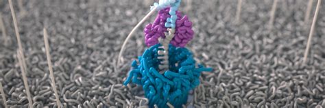 How Oxford Nanopore Sequencing Works