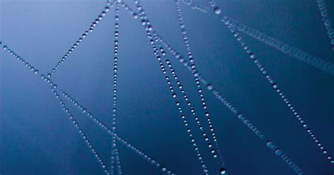 Diavia Webster On Linkedin Amazon Q Data Integration In Aws Glue