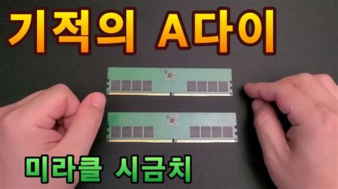 하이닉스 ddr5 시금치 a다이 드라군 n422 방열판 오버클럭 테스트 월램천강지곡 feat 12900k z690i