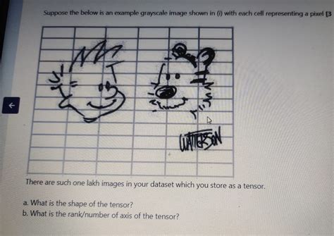 Solved Suppose The Below Is An Example Grayscale Image Shown Chegg