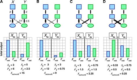 Figure 1 From Mathematical Models Of Specificity In Cell Signaling Semantic Scholar