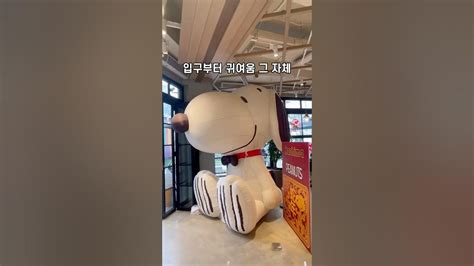 콜라보 천국 중국 옷 가게의 탈을 쓴 상해 소품샵 Youtube