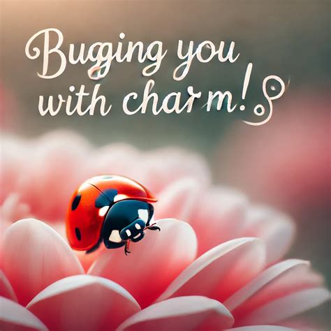 134 Ladybug Puns That Are Pure Joy