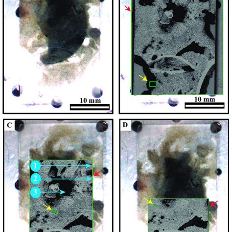 3 Embry And Klovan 1971 Classification Modified Dunham Download