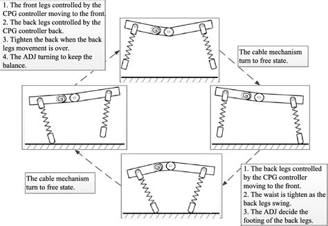 Effects Of Spinal Structure On Quadruped Bounding Gait Robotica Cambridge Core