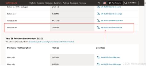 超全超详细！jdk 安装及环境配置（java se 8 保姆级教程） jdk安装及配置教程 csdn博客