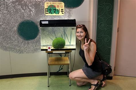 44 Best Marimo Moss Images On Pinterest