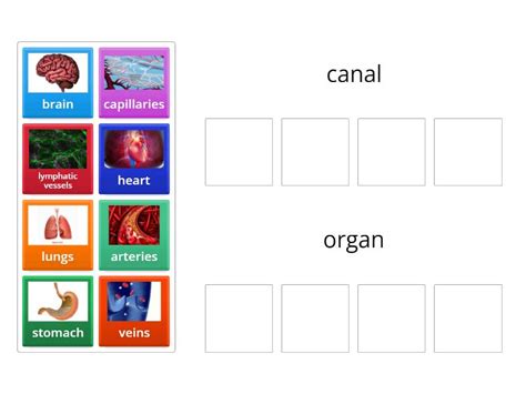 Sort Group Sort