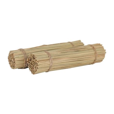 Chew N Play Grass Bundle