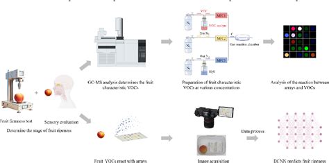 Figure 1 From Integrated Fruit Ripeness Assessment System Based On An