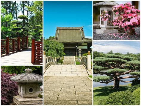 Ogr D Japo Ski Inspiruj Ce Pomys Y