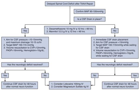 Management Algorithm For Delayed Paraplegia After Thoracoabdominal Download Scientific Diagram