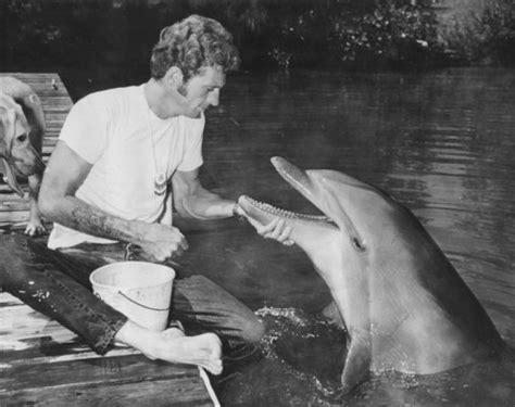 Heartbreaking Story Of Dolphin Named Kathy Who Played Tvs Flipper