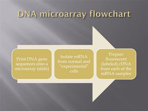 Ppt Activity 314 Powerpoint Presentation Free Download Id5716914