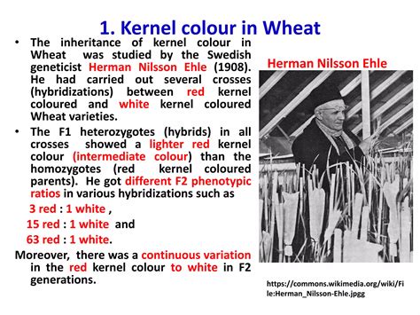 Quantitative Inheritance Smg Pptx