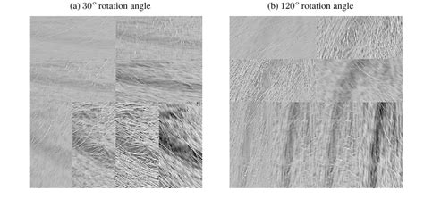 examples of 8 band directional subband decomposition of image straw a