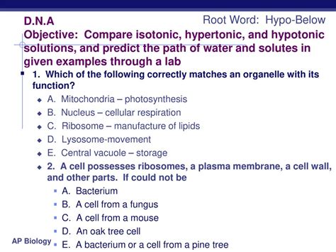 Hypotonic Example