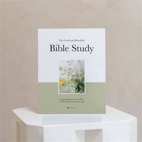 The Good and Beautiful Bible Study Volume 1| Experiencing Stories From ...