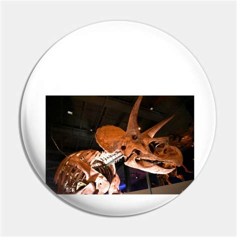 The Triceratops Dinosaur Fossil In Museum Portrait Ecopop Photo Art Triceratops Pin Teepublic