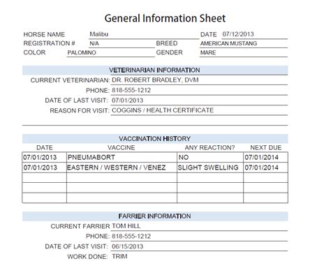 General Information Sheet Template Printable Calendars At A Glance