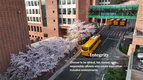 Spring Cherry Blossom About Kis Youtube