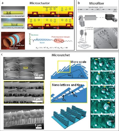Microfluidic Systems Involving Directional Droplet Motion A Download Scientific Diagram