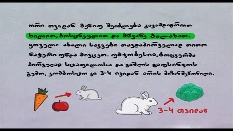 ფერმა სასარგებლო რჩევები რა უნდა გავითვალისწინოთ ბოცვერის შეძენისას Youtube