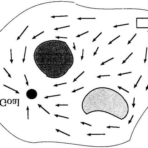 Examples Of Holomorphic Functions These Functions Illustrates Three