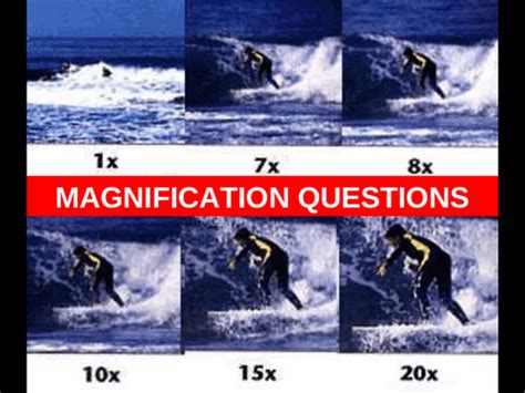 3 3 Microscope Measurements And Calculations Teaching Resources