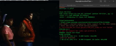 Ytfzf Find And Watch YouTube Videos In Linux Terminal