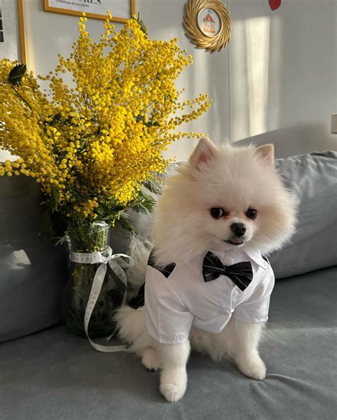 Открыточки для милых дам🧸💛 Xo* em 2024