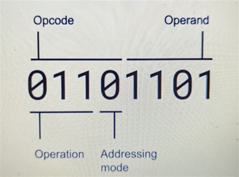 Structure Of Processor Flashcards Quizlet