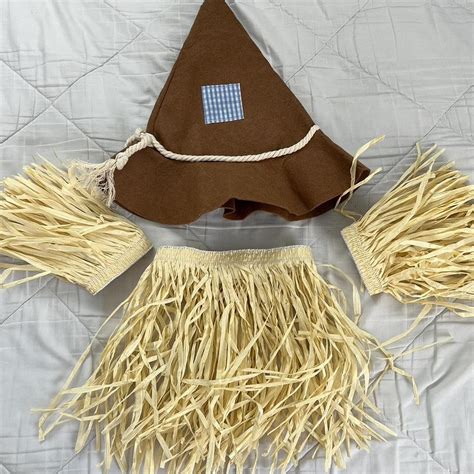 Wizard Of Oz Scarecrow Hat And Straw Accessories Depop
