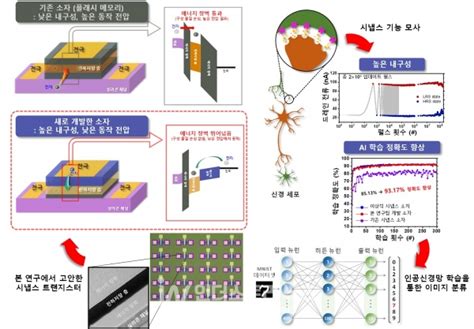 Kaist 차세대 대용량 데이터 처리 위한 고신뢰성 인공 시냅스 트랜지스터 개발 인더스트리뉴스