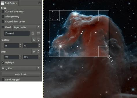 The Top 13 Paid And Free Alternatives To Adobe Illustrator Of 2024