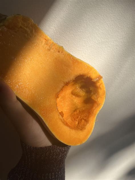 Squash Looks Slightly Green Inside Safe To Eat R Squash