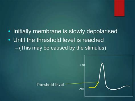 Excitable Tissues Resting Membrane Potential And Action Pptx