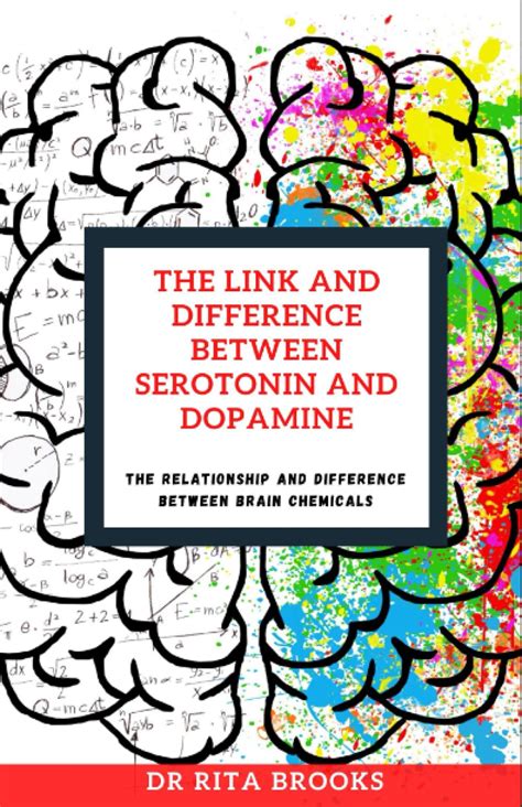 Buy The Link And Difference Between Serotonin And Dopamine The Relationship And Difference