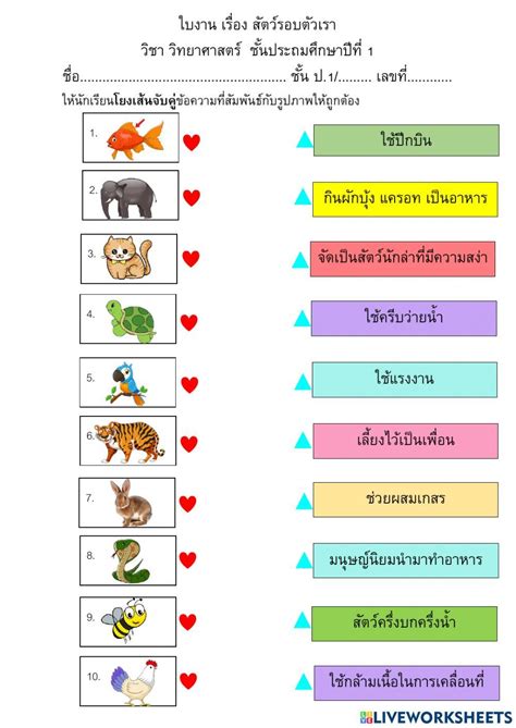 ใบงาน วิชาวิทยาศาสตร์ เรื่อง สิ่งมีชีวิตรอบตัว ป 4 Worksheet วิทยาศาสตร์ ป 4 แบบฝึกหัดสำหรับ