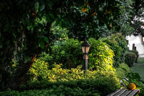 진욱 아주작은사진전시회 여름의채색 여름의 초상들 내마음에너를담아 개정판 출판기념 제주 아침의 소리 정원에서 혼자 정원에서 바베큐를 하다가 문뜩 따른 맥주잔을